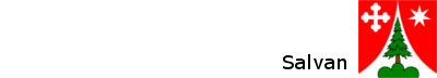 vsgis.ch - salvan